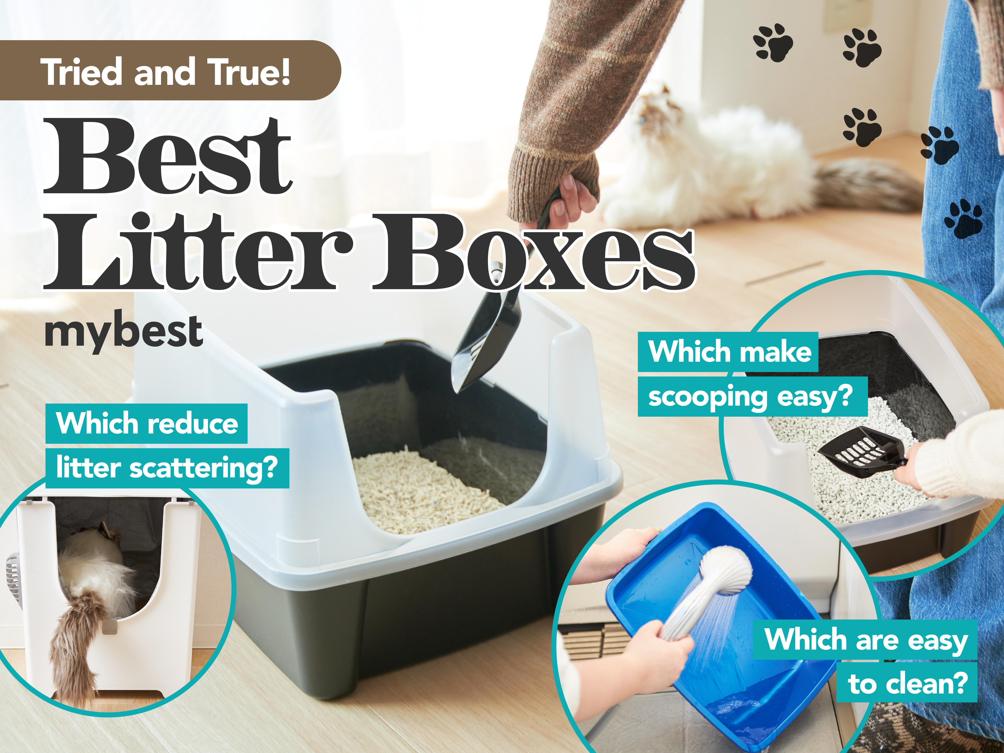 8 Best Litter Boxes [Tested and Reviewed] | mybest
