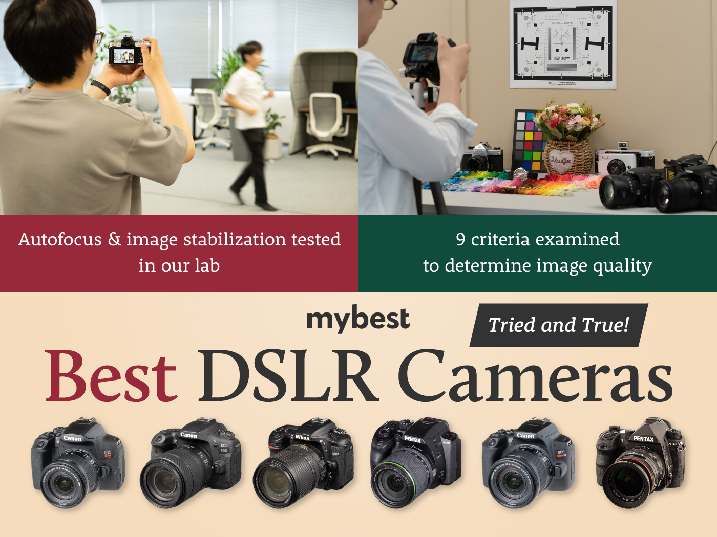 6 Best DSLR Cameras [Tested and Reviewed] | mybest