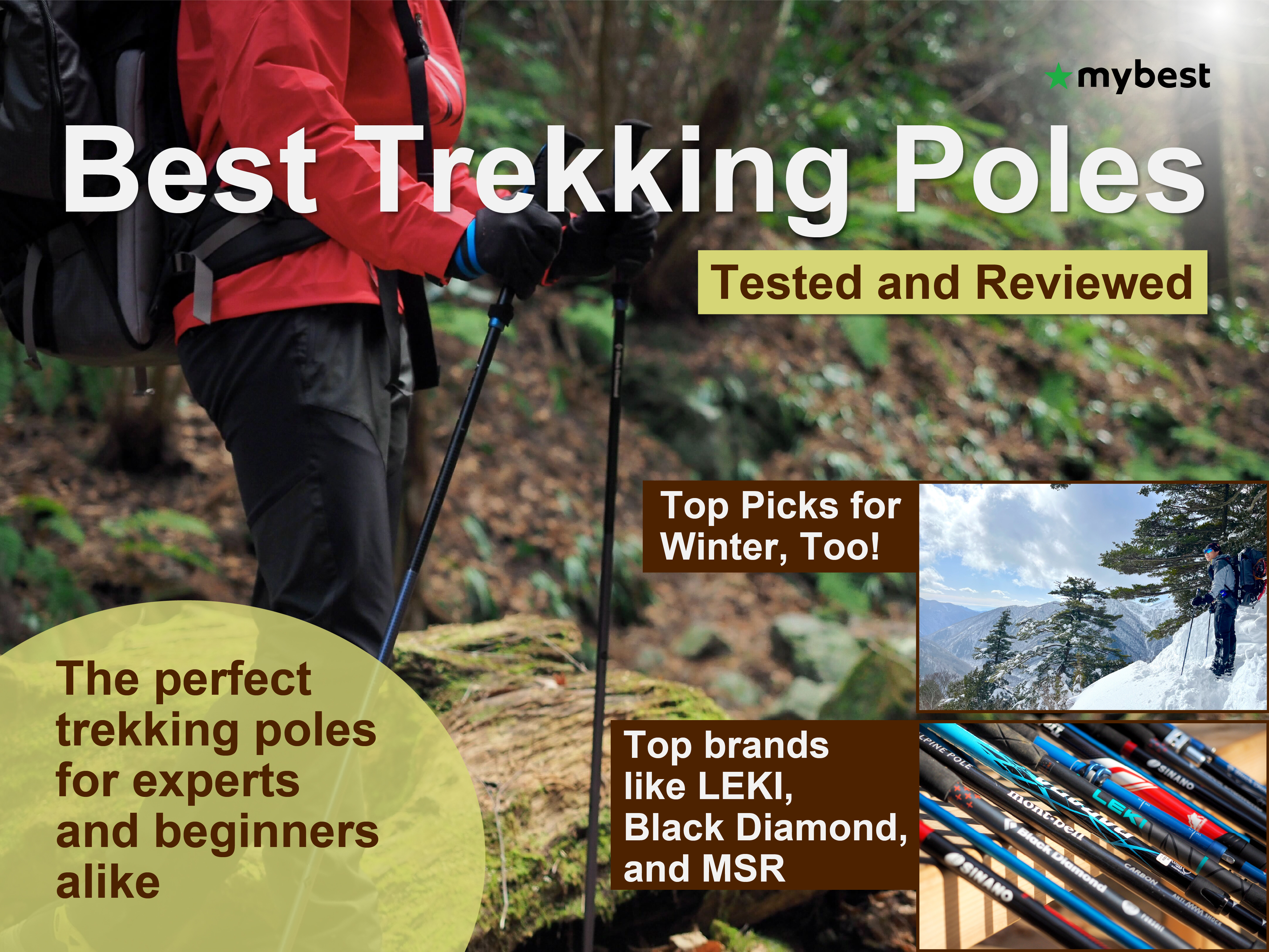 15 Best Trekking Poles [Tested and Reviewed] | mybest