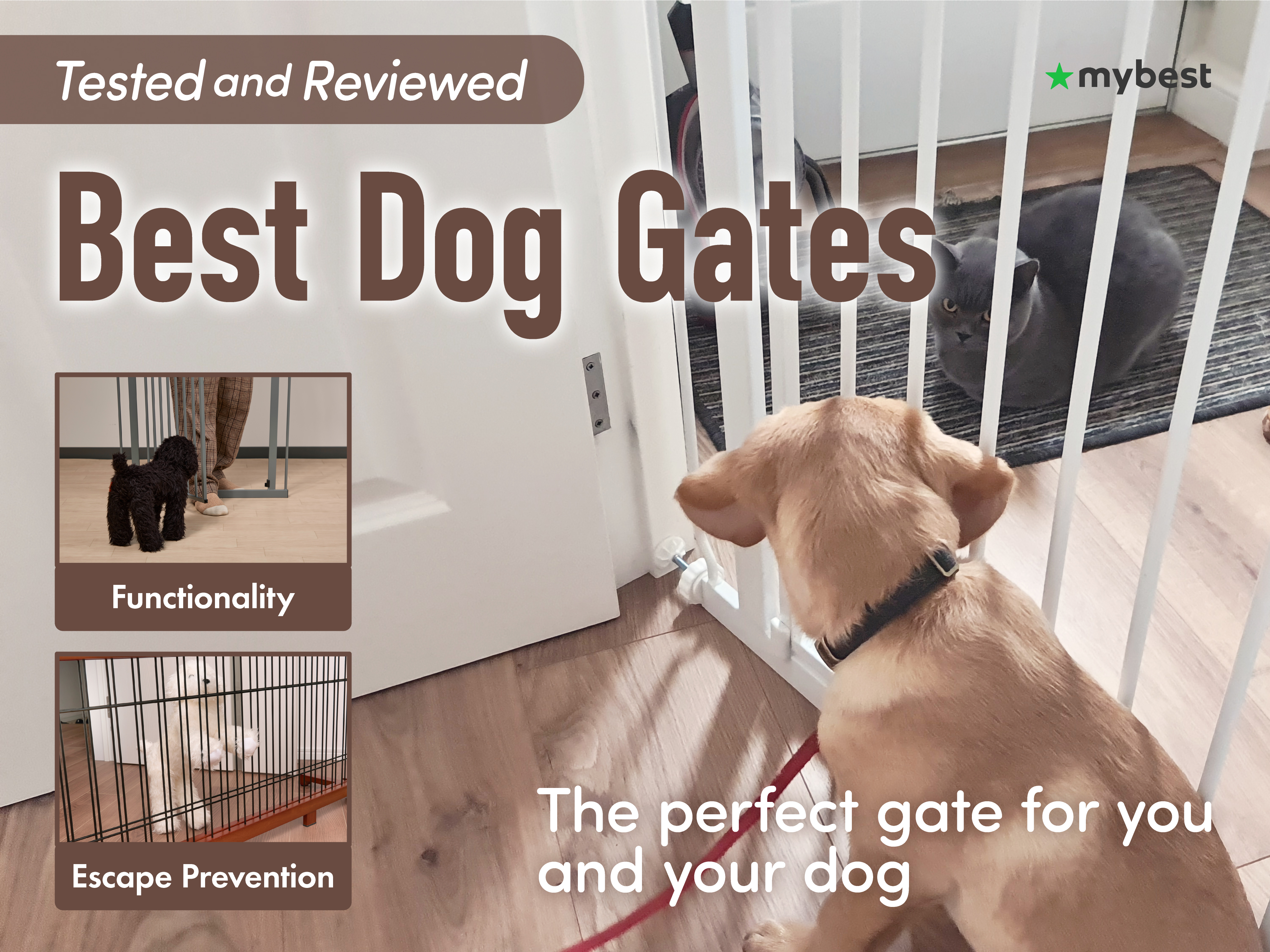 10 Best Dog Gates [Tested and Reviewed] | mybest