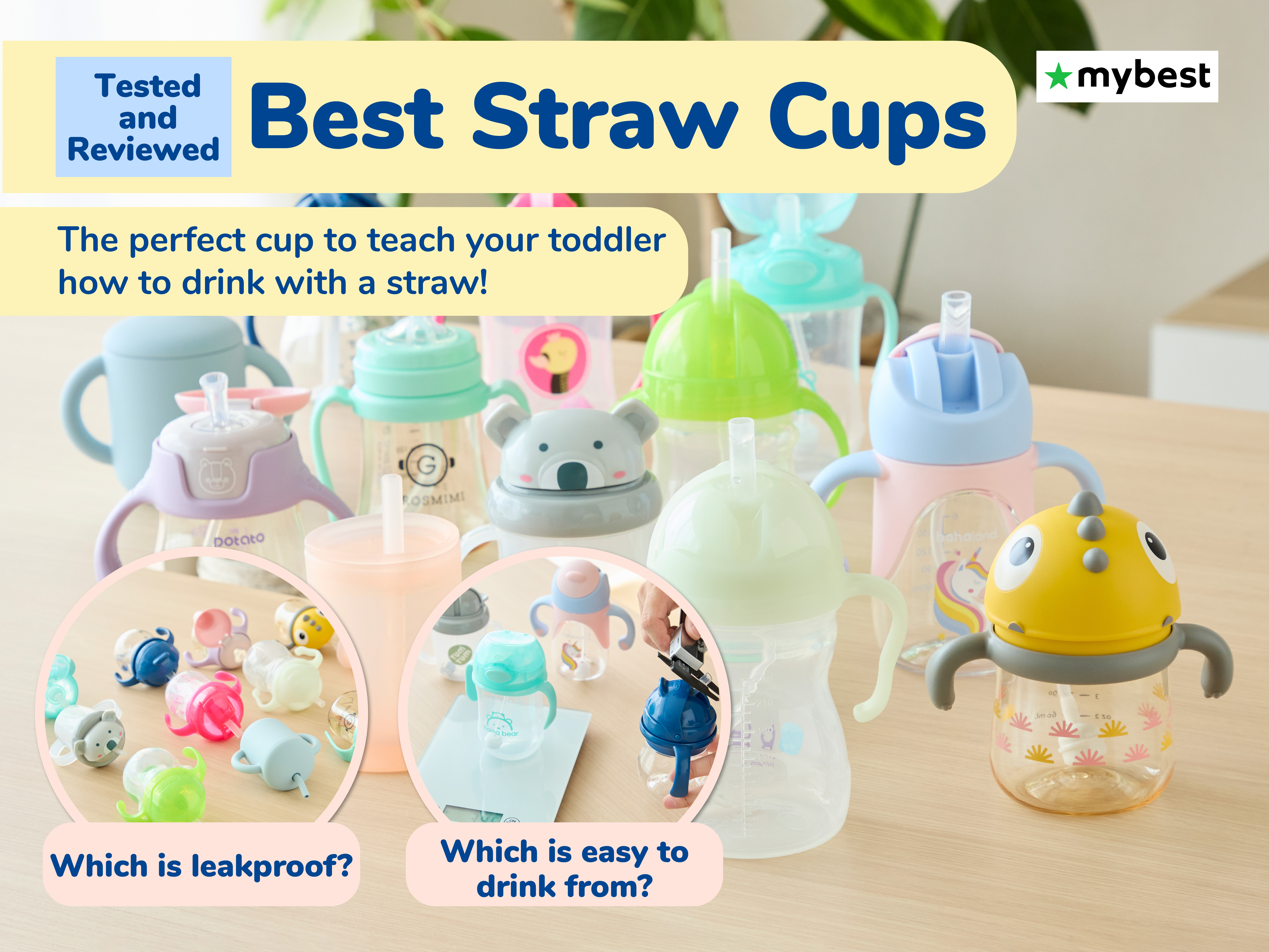 12 Best Straw Cups [Tested and Reviewed] | mybest
