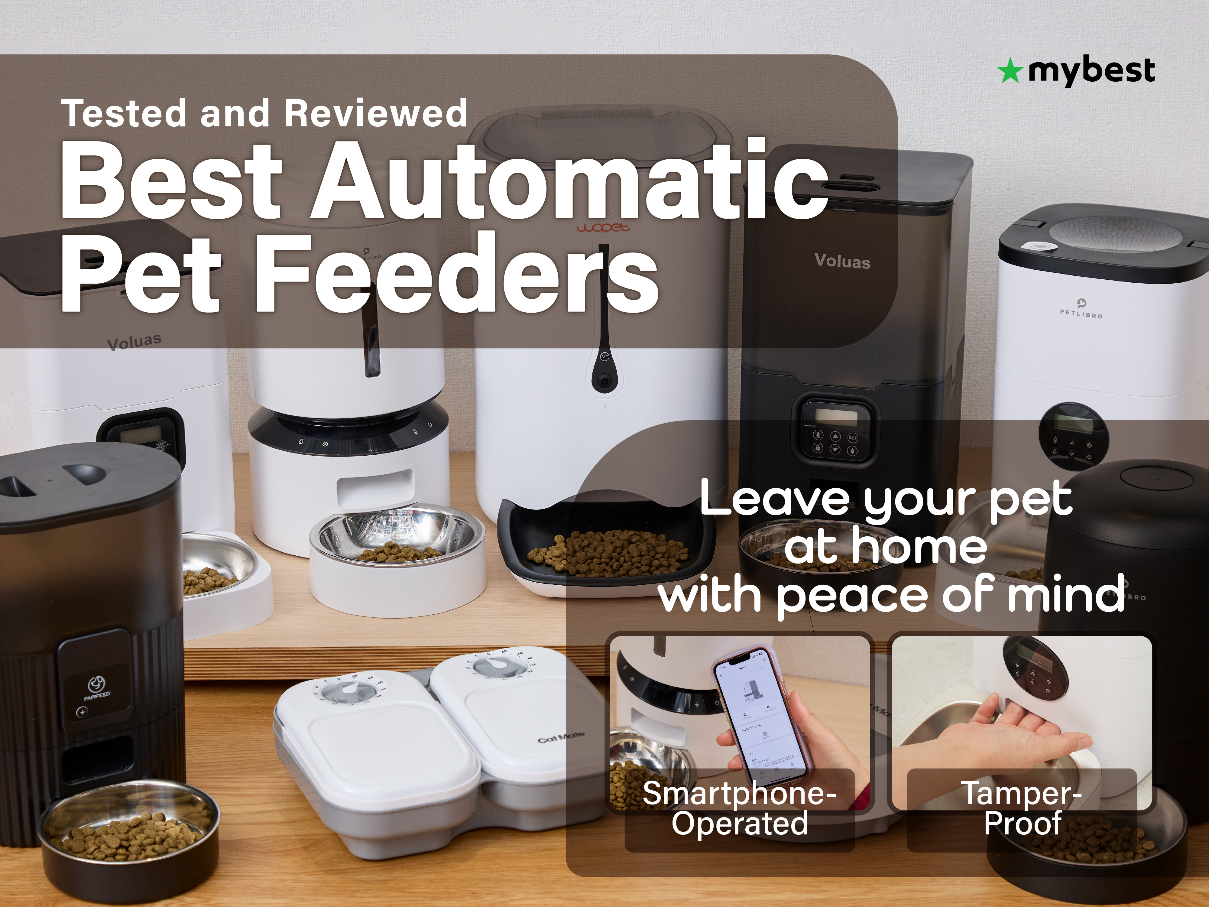 9 Best Automatic Pet Feeders [Tested and Reviewed] | mybest